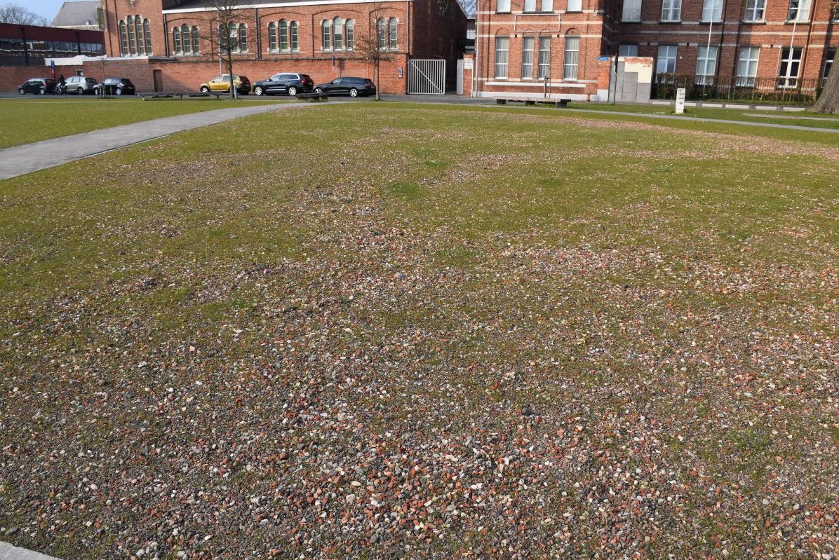 Grindgazon zorgt voor stabiliteit aan de Warande (Turnhout) | Gazet van ...