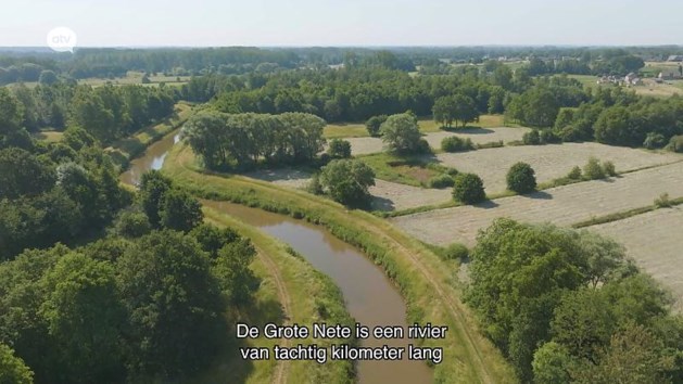 AFL 7 - Grote Nete Meerhout | Gazet van Antwerpen